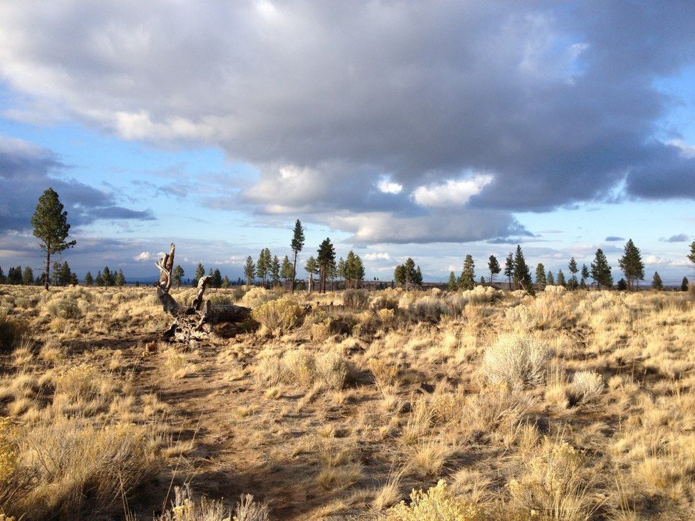 Local Area Guide | Lake Simtustus Resort